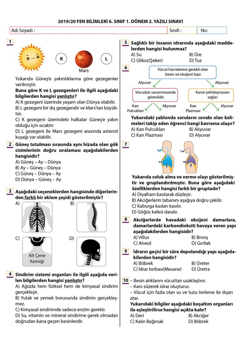 6- Sınıf – Fen Bilimleri – 1. Dönem 1. Yazılı 6- Sınıf – Fen Bilimleri – 1. Dönem 1. Yazılı